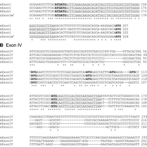 Structures Of Cyclic Nucleotides Download Scientific Diagram