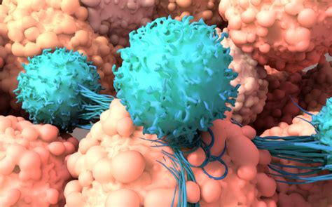 Navigating Through The Cutaneous T Cell Lymphoma Treatment Market