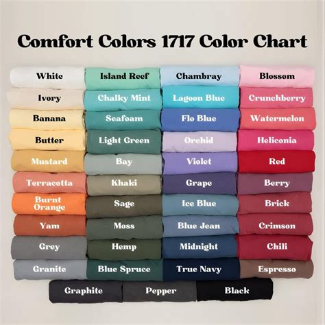 Paid In Exposure Shirt Unpaid Interns Comfort Colors Tee Funny Work