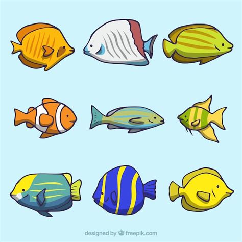 물고기의 수집 무료 벡터