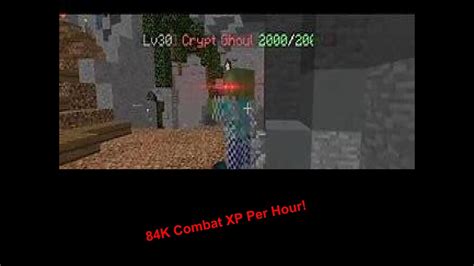 How To Get Good Combat XP In Hypixel Skyblock YouTube