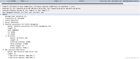 Dhcpv6 原理浅谈报文示例简易配置slaacdhcpv6pd前缀代理 Rfc8415dhcpv6报文 Csdn博客 Dhcpv6 原理浅谈报文示例简易配置slaacdhcpv6pd前缀代理 Rfc8415dhcpv6报文 Csdn博客