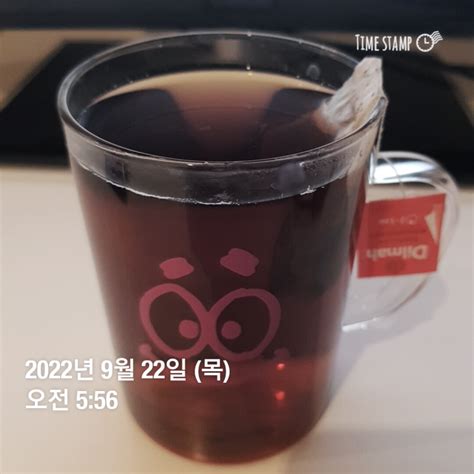 새벽 기상 루틴dilmah 홍차 한 잔 네이버 블로그