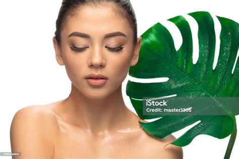 하얀 배경에 몬스터 잎으로 젊은 여성의 초상화를 닫습니다 화장품과 메이크업 내츄럴 및 에코 트리트먼트 스킨 케어 20 24세에 대한 스톡 사진 및 기타 이미지 Istock