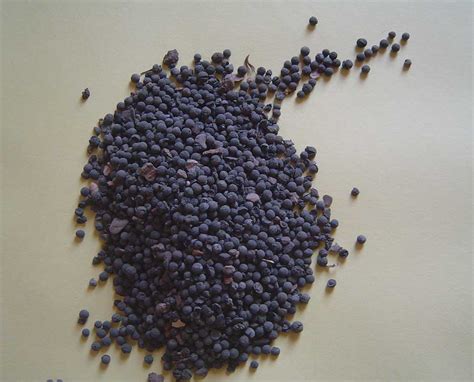 Copper Catalyst Sand International