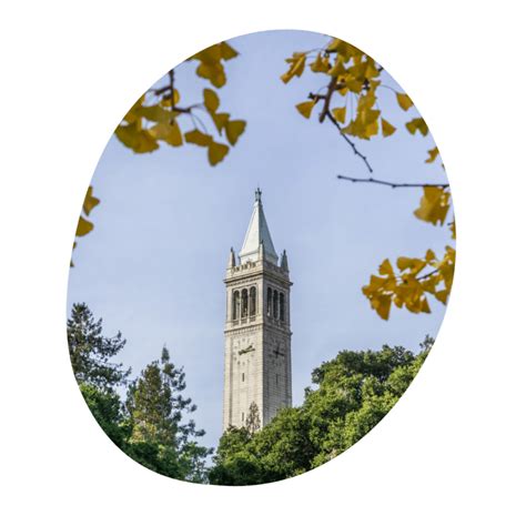 The Ultimate Guide To The UC Application Process