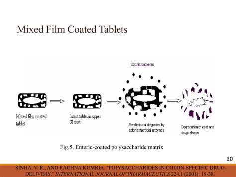 Colon Specific Drug Delivery System Pptx Digestive Disorders Diseases And Conditions