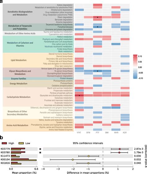 Microbial Functional Analysis In Obesity A Microbial Picrust Predicted Download Scientific