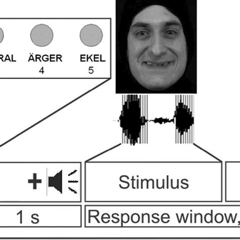 Experimental Design Based On Auditory Visual Or Audiovisual Stimuli