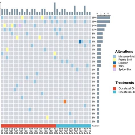 Germline Ddr Gene Alterations Heatmap Of Gddr Alterations In Locally Download Scientific