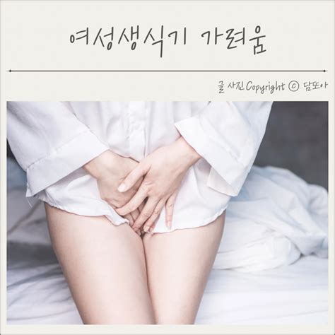 여자생식기 가려움 따가움 냄새 원인 치료 네이버 블로그