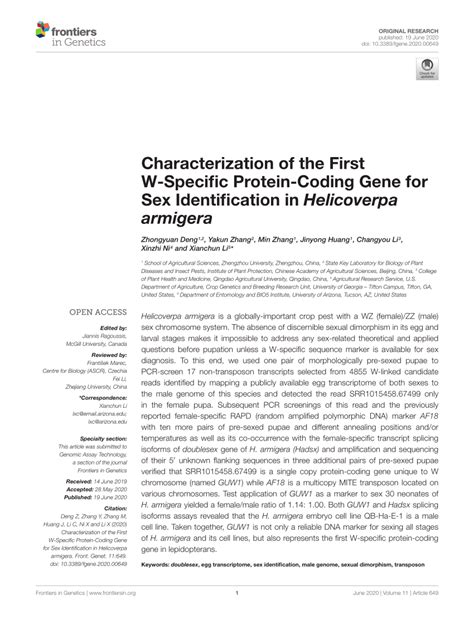 Pdf Characterization Of The First W Specific Protein Coding Gene For