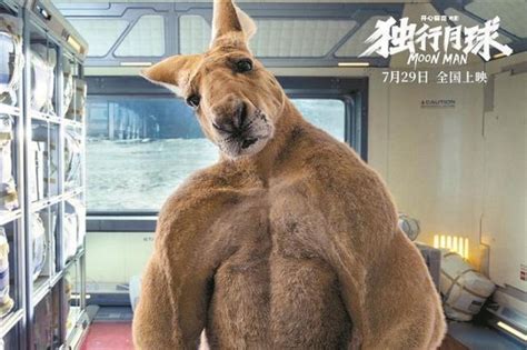《独行月球》中金刚鼠“刚子”扮演者：觉得自己越来越像一只袋鼠 腾讯新闻