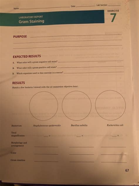 GRAM STAINING LAB REPORT ANSWERS