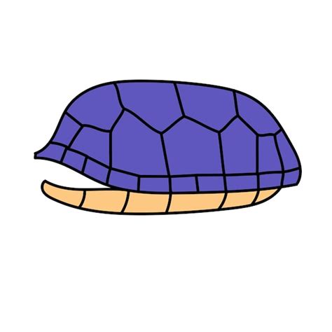 Premium Vector Tortoise Shell Hand Drawn Color Vector Illustration