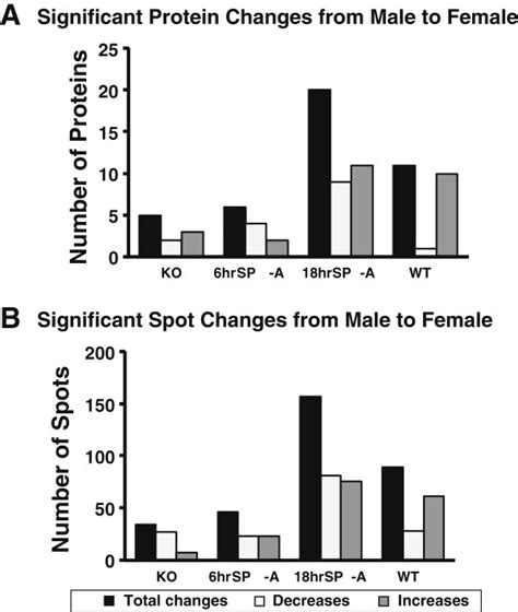 Summary Of Significant Sex Differences In Changes In Whole Proteins And Download Scientific