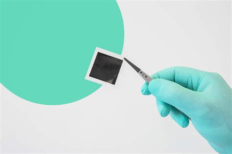 Vsparticle Revolutionizing Material Development Catalyst Coated Membranes Ccm