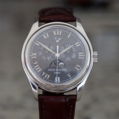 Patek Philippe Annual Calendar Platinum Slate Roman 5056p Watches