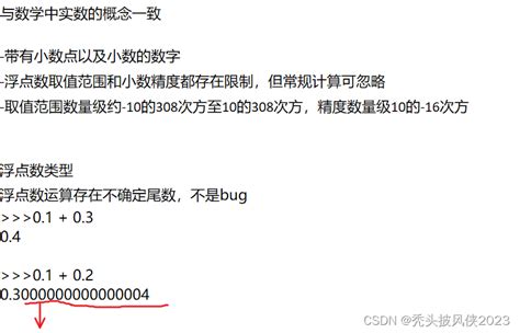 Python中的数值类型详解 Csdn博客