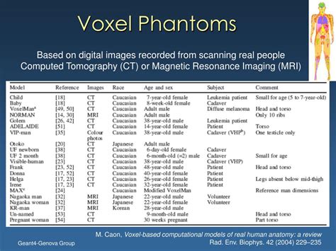Ppt Anthropomorphic Phantoms Powerpoint Presentation Free Download