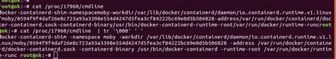 Displaying Proc PID Cmdline With Space ServerOK