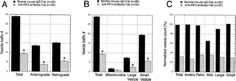 Comparison Of Vesicle Traffic Before And After Microinjection Of Fabs Download Scientific