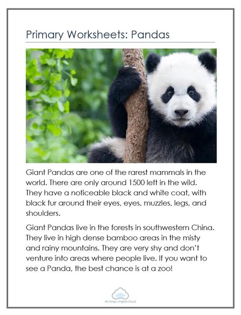Primary Worksheets Pandas Mr Gregs English Cloud