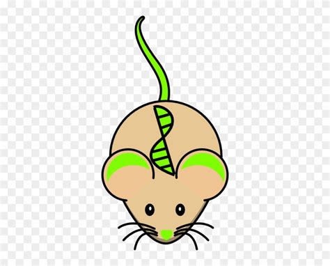 Transgenic Mouse Clip Art At Clker Mouse Clip Art Full Size Png Clipart Images Download