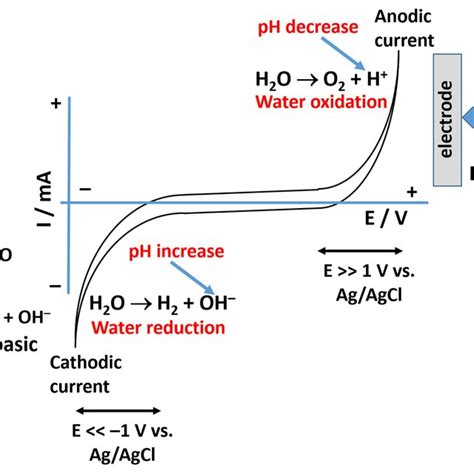 A Schematic Cyclic Voltammogram Illustrating The Water Download Scientific Diagram
