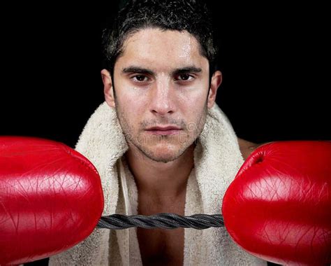 Boxeador De Sexo Masculino Con Los Guantes Foto De Archivo Imagen De