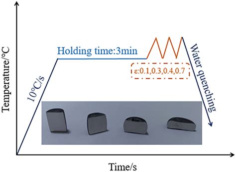 The Hot Compression Experiment Diagram Download Scientific Diagram
