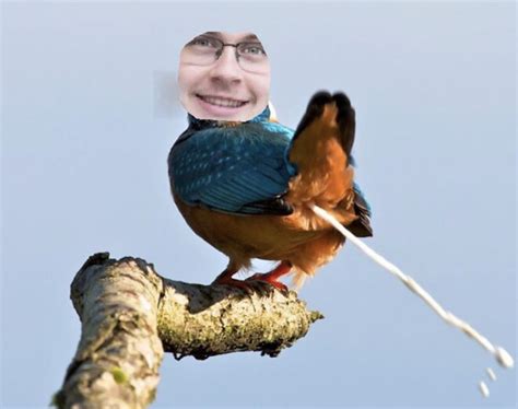 Screenshots Flikr Aubrey Lee Flickr