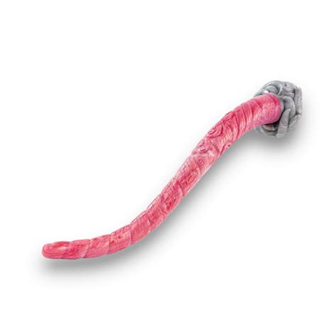 Unicorn Dildos Cheeky Bdsm Nz