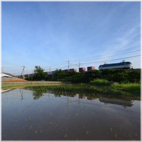 6 8晴天の出羽公園付近の水田で 水鏡の風景 とEF66サメ他牽引武蔵野貨物 新yoshiのデジカメネガ写真集