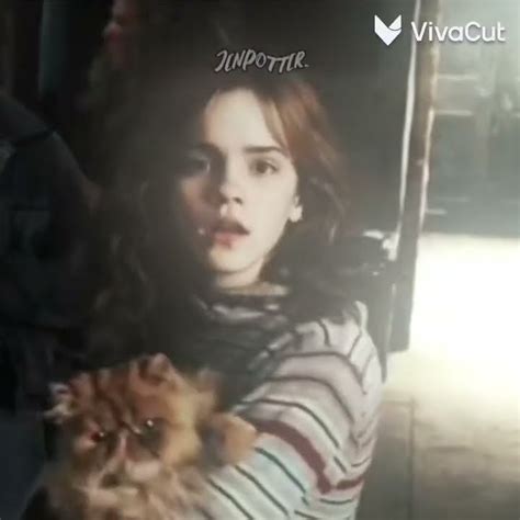 Halamithi Habibo X Hermione Granger Trending Harrypotter 1million Edit Hermionegranger Ly