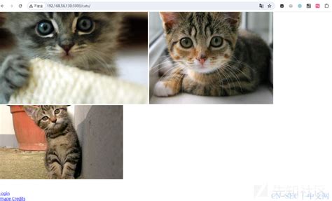 nginx deny限制路径绕过 CN SEC 中文网