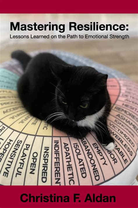 Mastering Resilience Lessons Learned On The Path To Emotional Strength