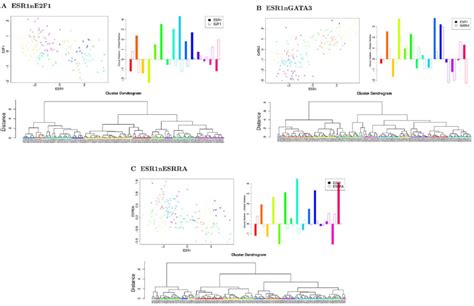 The Illustration For Hierarchical Clustering On Two Variables Of Interest Download Scientific