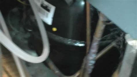 How To Fix A Leaky Ice Maker Water Line At Dorothy Leasure Blog