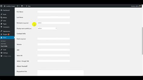How To Set Up WordPress Themes And Plugins Daemontown