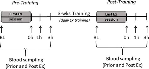 Figure 1 From Myokine Responses To Exercise In A Rat Model Of Lowhigh