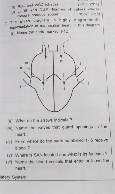 Please Answer My Question Number 7 Brainly In