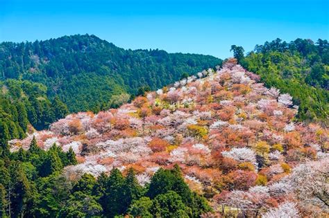 関西の絶景スポットドライブデートにおすすめの海が見える日帰り温泉秘境雲海も Journal4