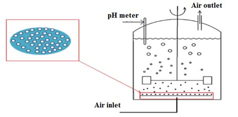 A Schematic Of Air Injection To The Bioreactor And Penetration In The Download Scientific