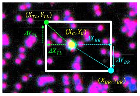 A Hybrid Intelligence Approach For Circulating Tumor Cell Enumeration In Digital Pathology By