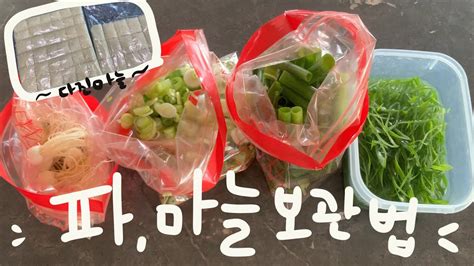호주집밥 다진마늘 냉동보관 파 냉동보관 마늘 파 프렙 영상~ Youtube