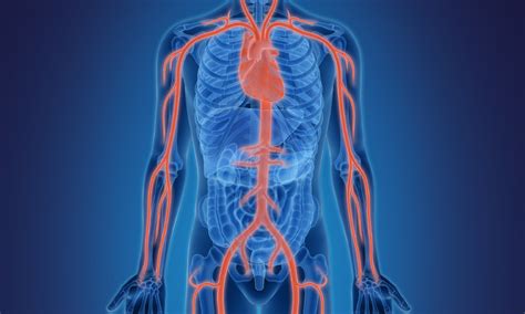 Surgical Outcomes For Vascular Conditions