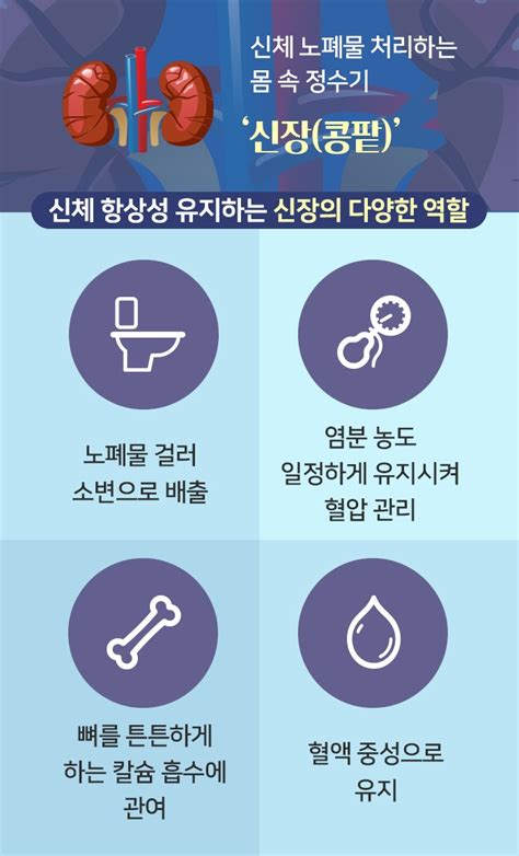 급증하는 ‘만성신부전환자 신장 건강 지키는 Abc