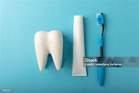 파란색 배경에 칫솔이있는 흰색 치아의 청소 모델 치과 위생의 개념 플라크 및 잇몸 질환의 예방 충치의 예방 모형 0명에 대한 스톡 사진 및 기타 이미지 Istock