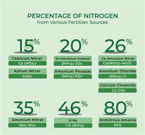 Percentage Of Nitrogen From Various Fertilizer Sources 9764520 Vector